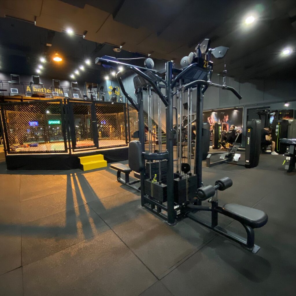 Prime Fitness USA – Premium Bodybuilding and Strength Machines - GymMakers